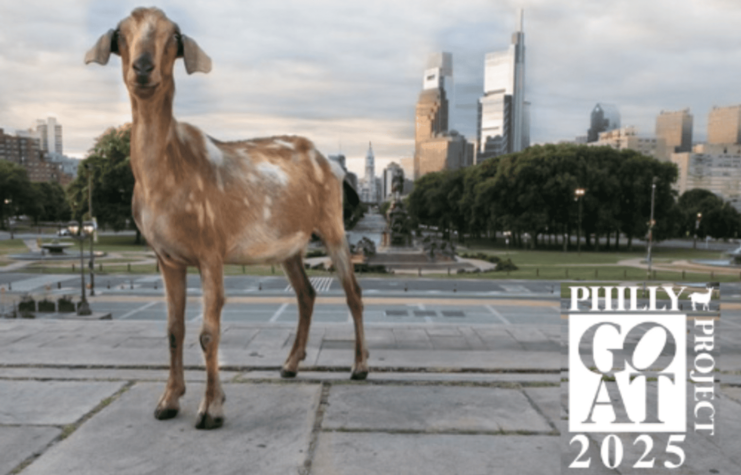 2025 Philly Goat Project Calendars Available for $17 | Philadelphia ...